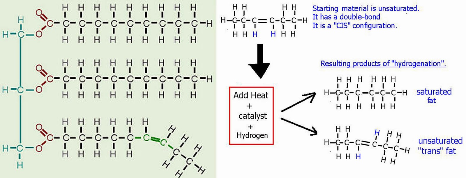 As Many Exceptions As Rules: The Skinny On Fat
