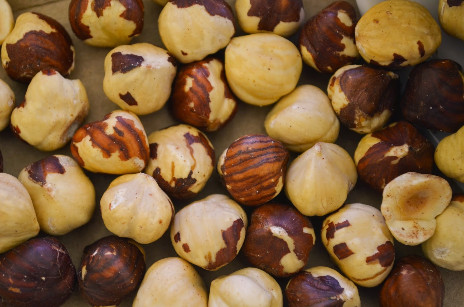 Chocolate Hazelnut Truffles