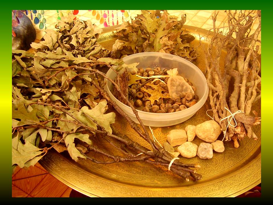 LAS BOTANICAS SANTERAS, EL OMIERO - SANTERIA