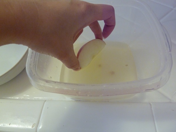 Sakacon: Usagi Ringo (Rabbit Apples)