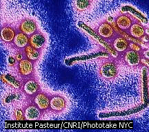 grupo1: Agentes Patogenos