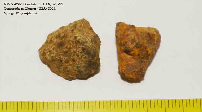 Meteoritos Canarias: El MUSEO CANARIO DE METEORITOS aumenta sus ...