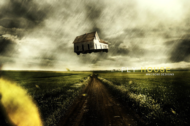 FLYING HOUSE: Flying House Art and Pictures