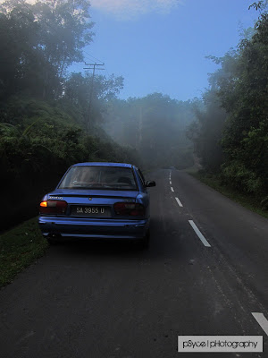 pSyce ! pHotography: The Beauty Of Auto Mode