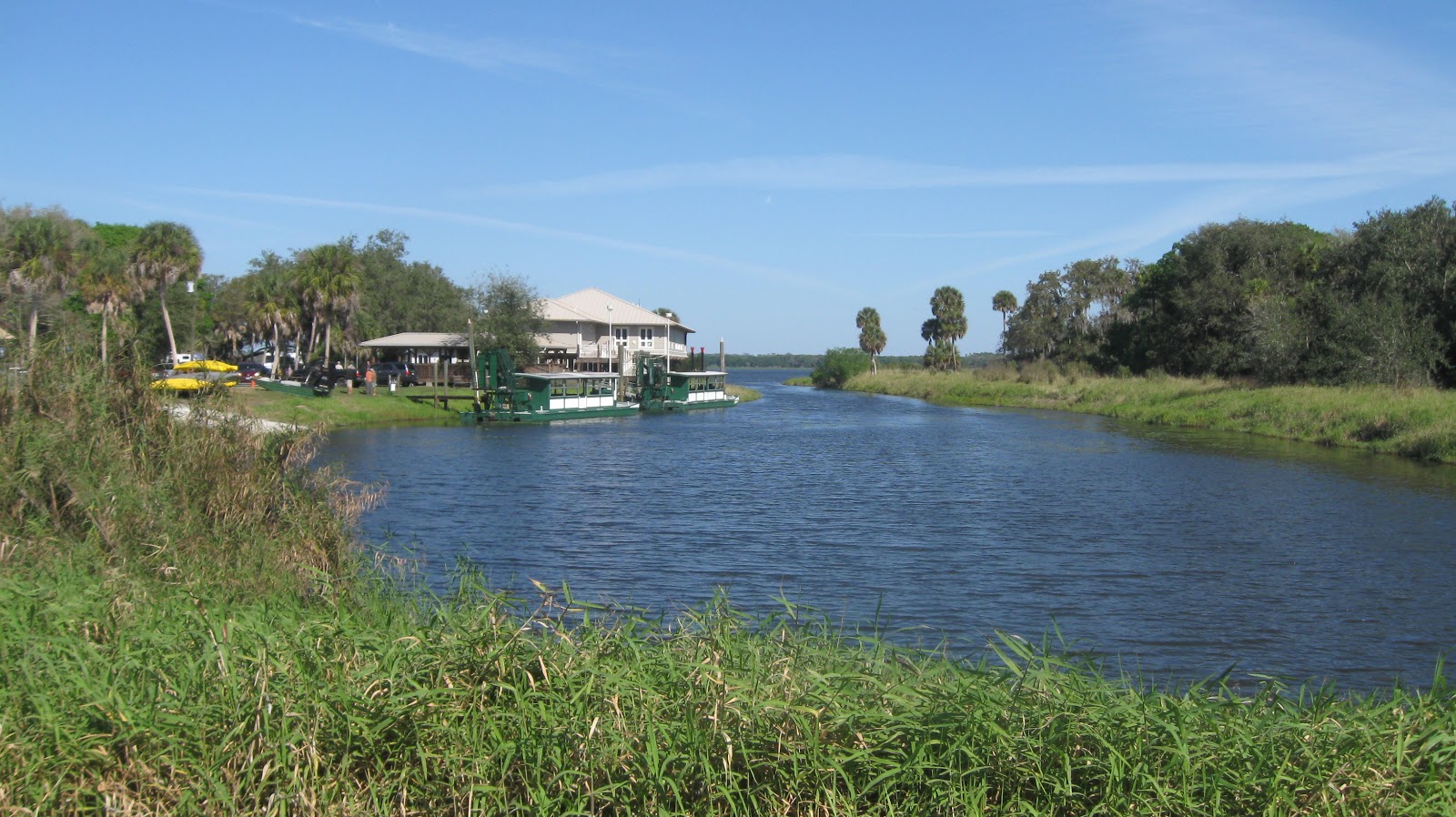troutbirder: Myakka River State Park