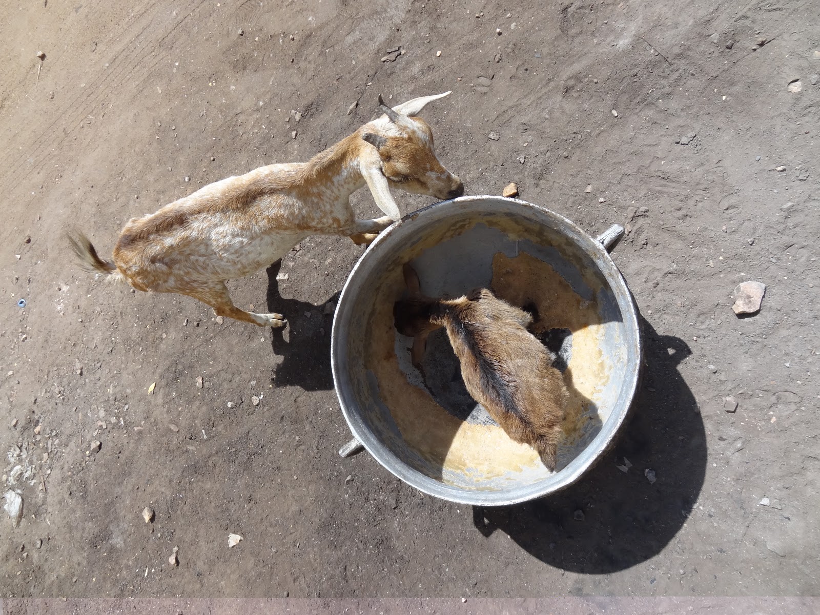 sevistravel: documentary