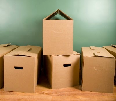 The Silent Isle: Messy Boxes