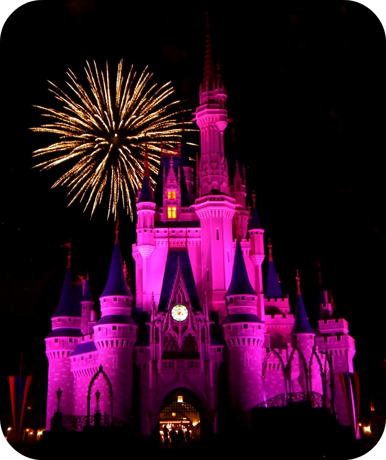 Anna's Photography: Night Photography In Disney World