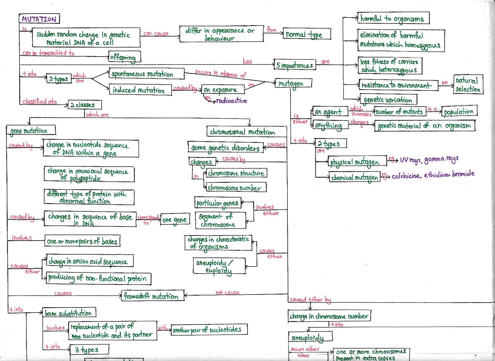 BIOLOGY is to serve mankind...: 1.6 MUTATION