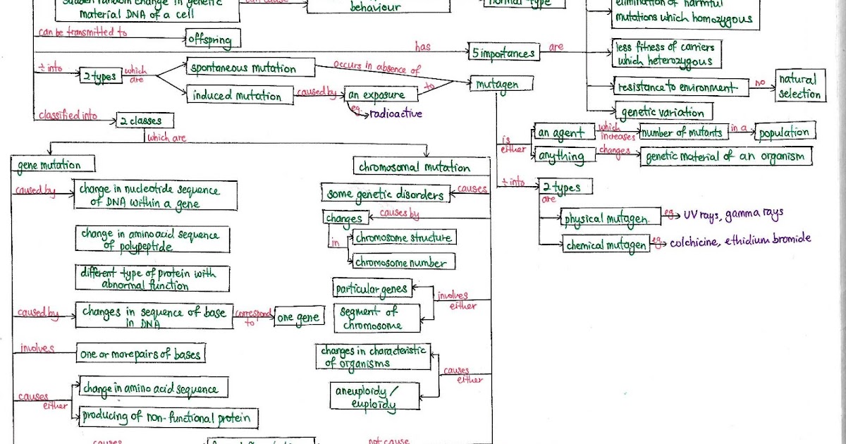 BIOLOGY is to serve mankind...: 1.6 MUTATION