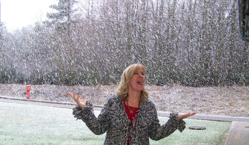 Susan Womble's Adventures