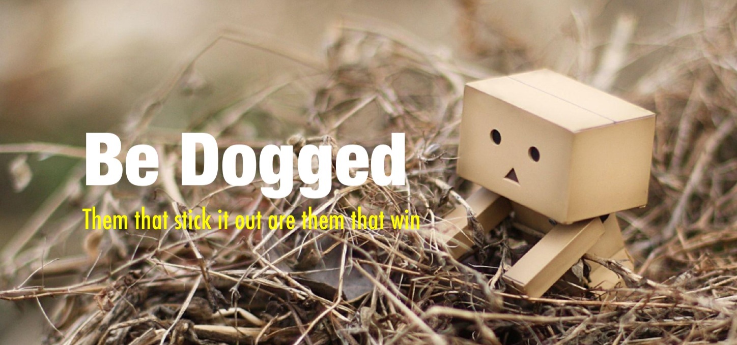JD's Blog: Be Dogged