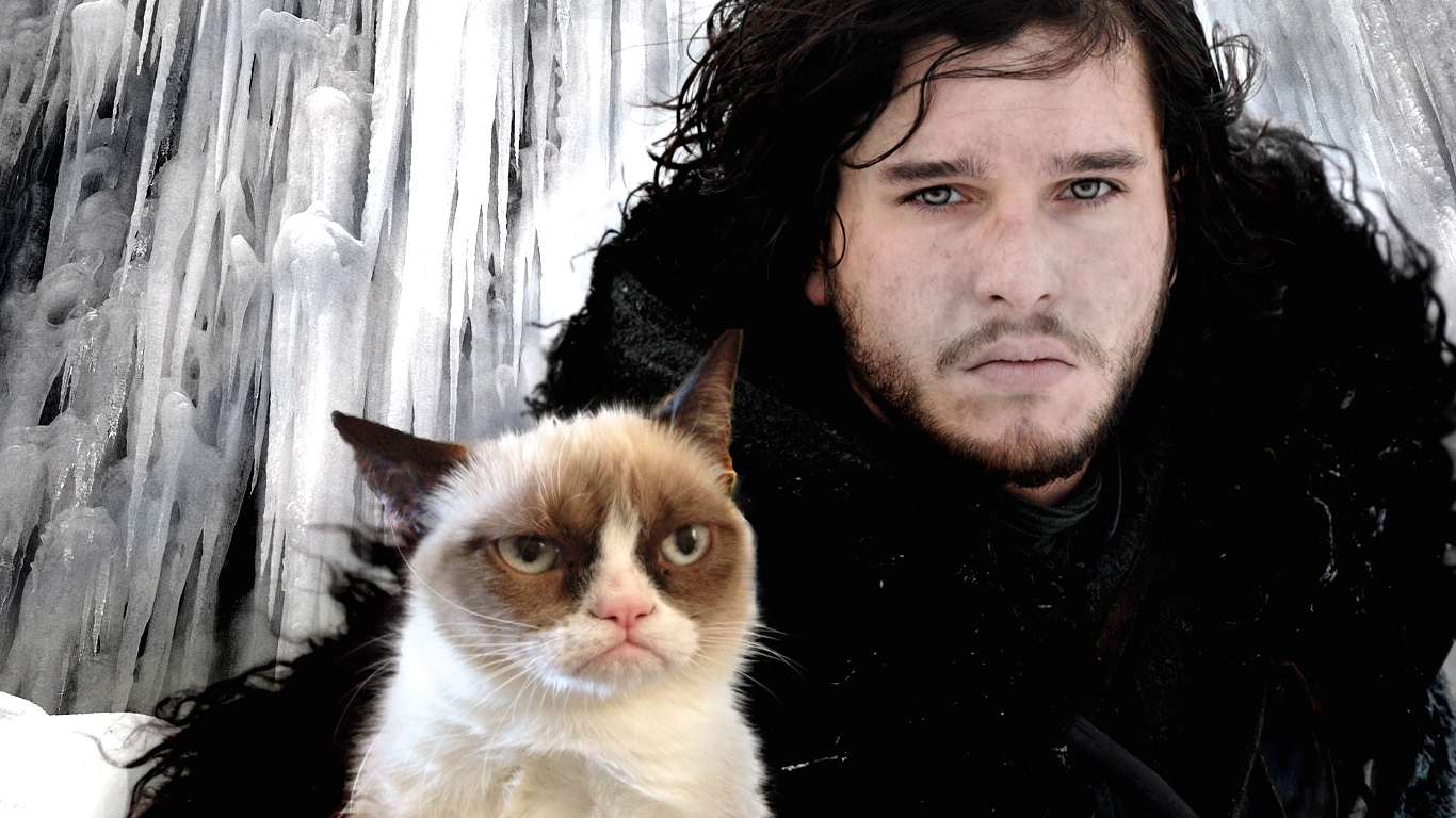 Game Of Thrones : Grumpy Cat