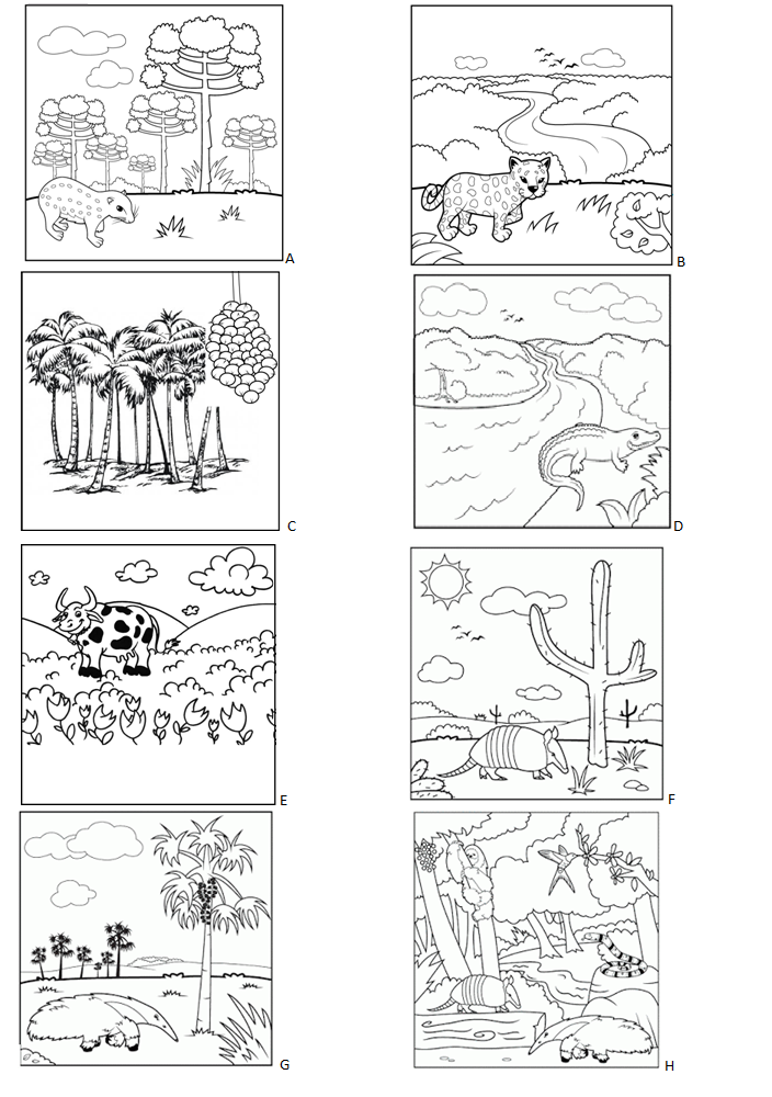 O Melhor da Biologia: Biomas brasileiros