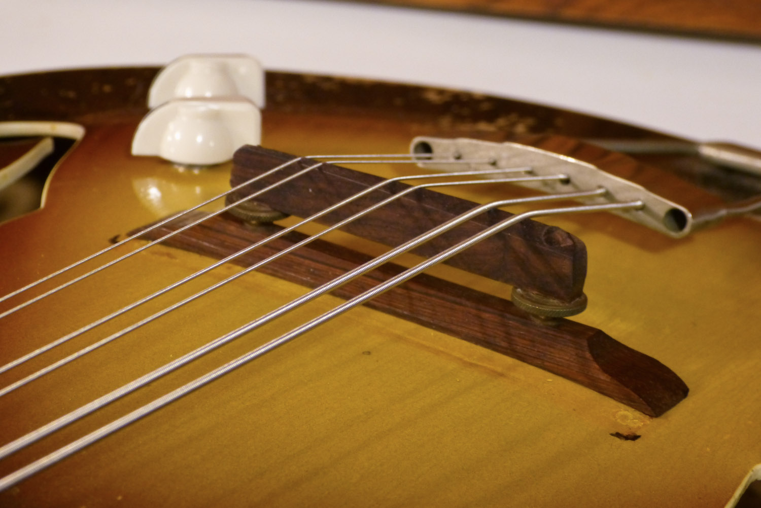 1957 National Dynamic Archtop Electric Mandocello Conversion