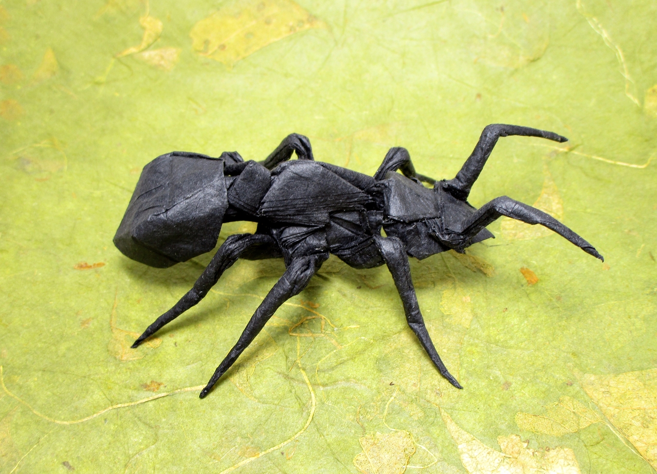 Mariano-Mi mundo el Origami: Ant 2.0