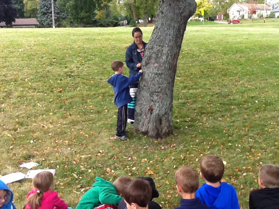 Mrs. Breitlow's Kindergarten: Outdoor Science