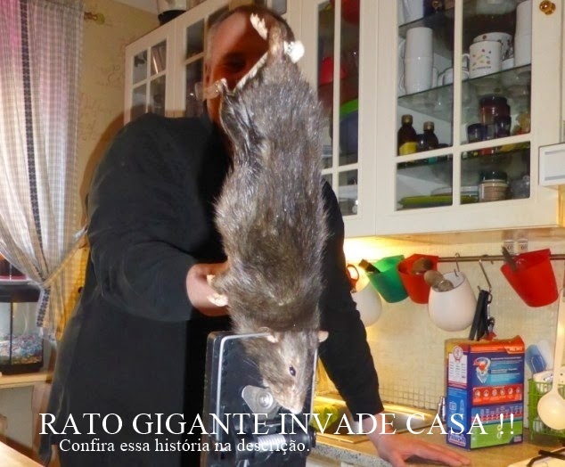 FRANQUEADORA TSERV - RUMO A EUROPA: Rato GIGANTE invade casa