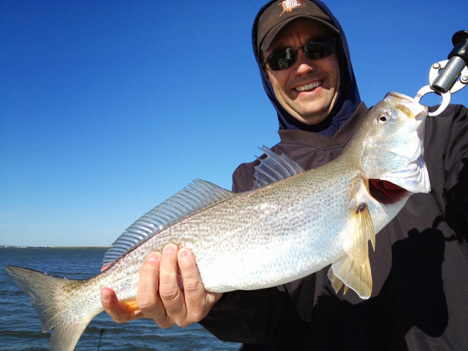 Jersey Cape Guide Service: Big Weakfish