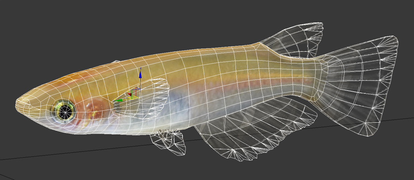 Neurophysiology Lab @ NIBB, Japan: 3DCG animations for studying social ...