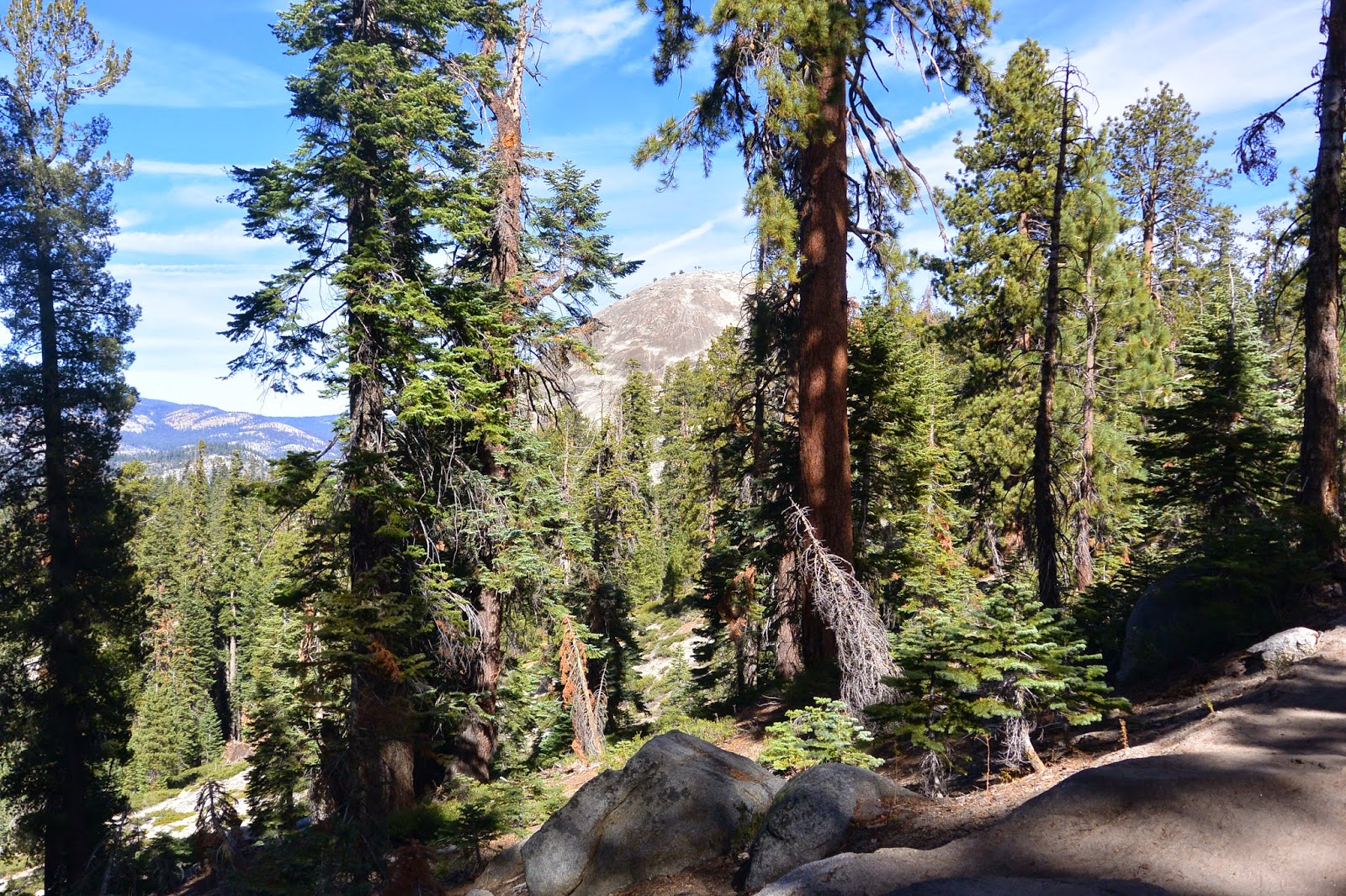 Yosemite National Park 2014: Sentinel Dome and Taft Point Trails ...