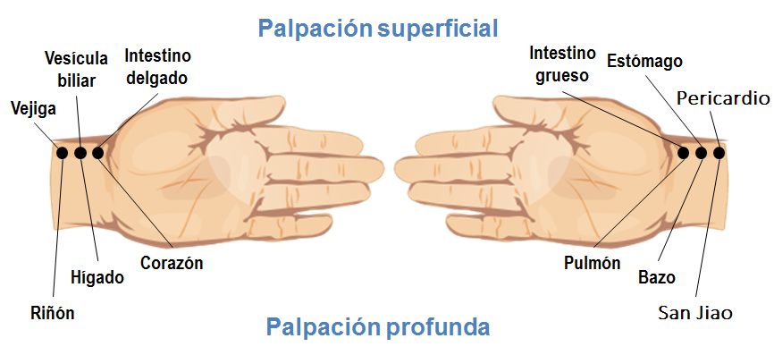 Aires orientales: Diagnóstico a través del pulso
