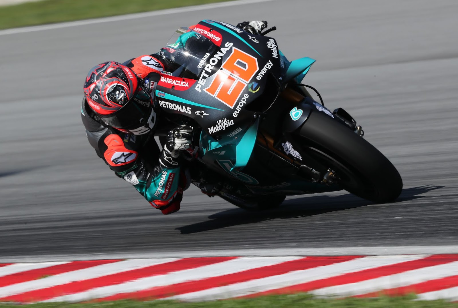 Petronas Yamaha SRT 2019 MotoGP Wallpaper