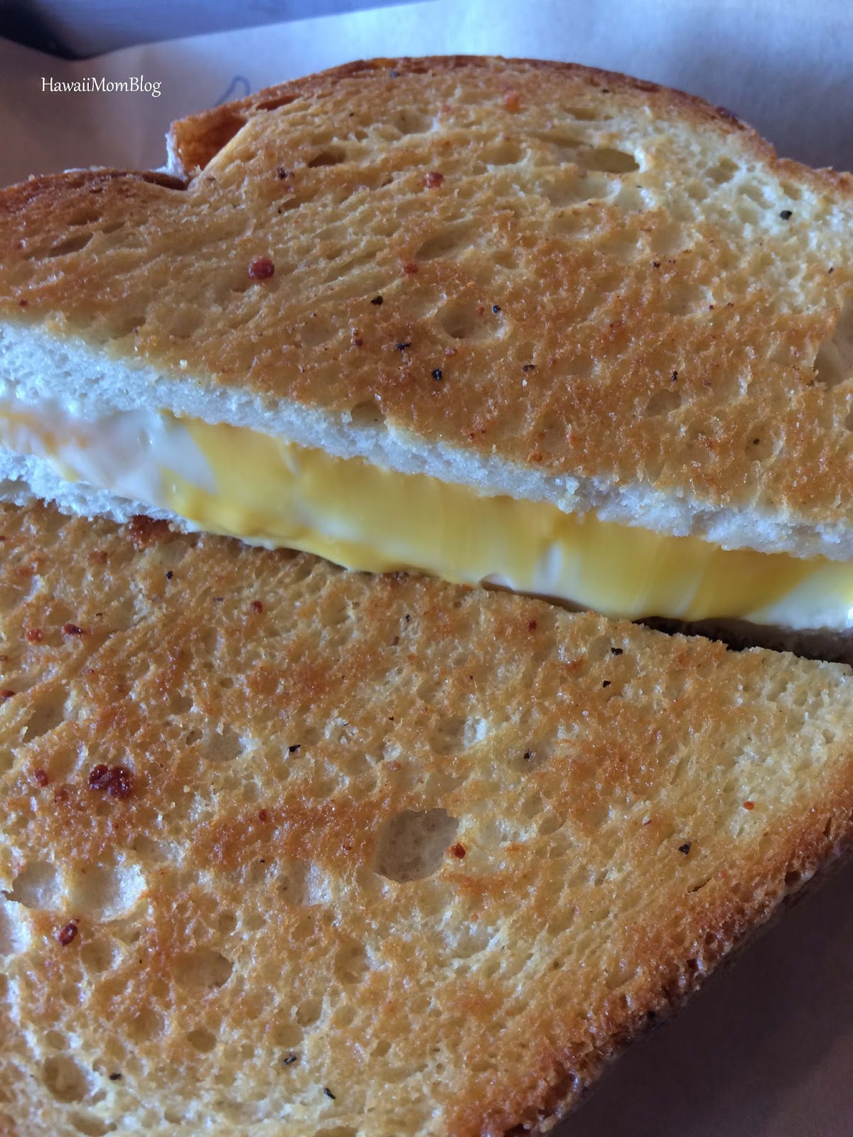 Hawaii Mom Blog: Visit Coeur d'Alene: Meltz