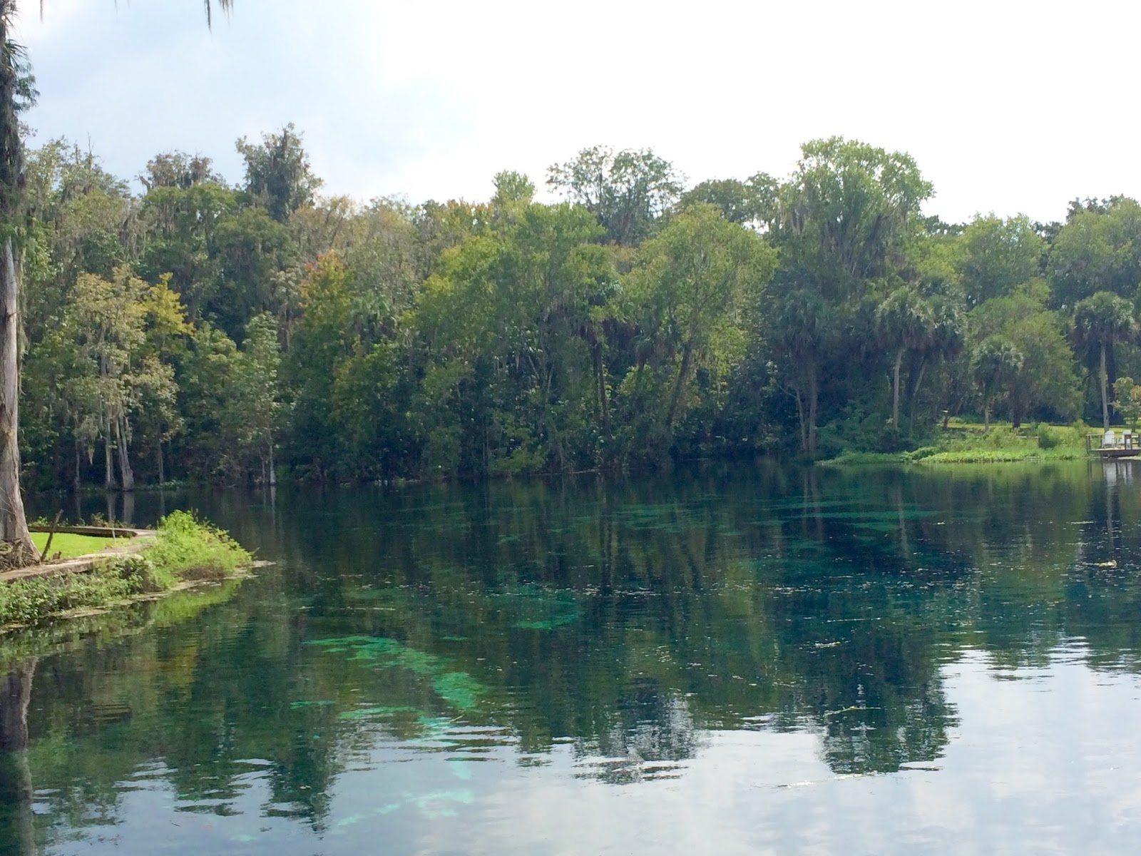 Magnolia Mamas : Exploring Silver Springs