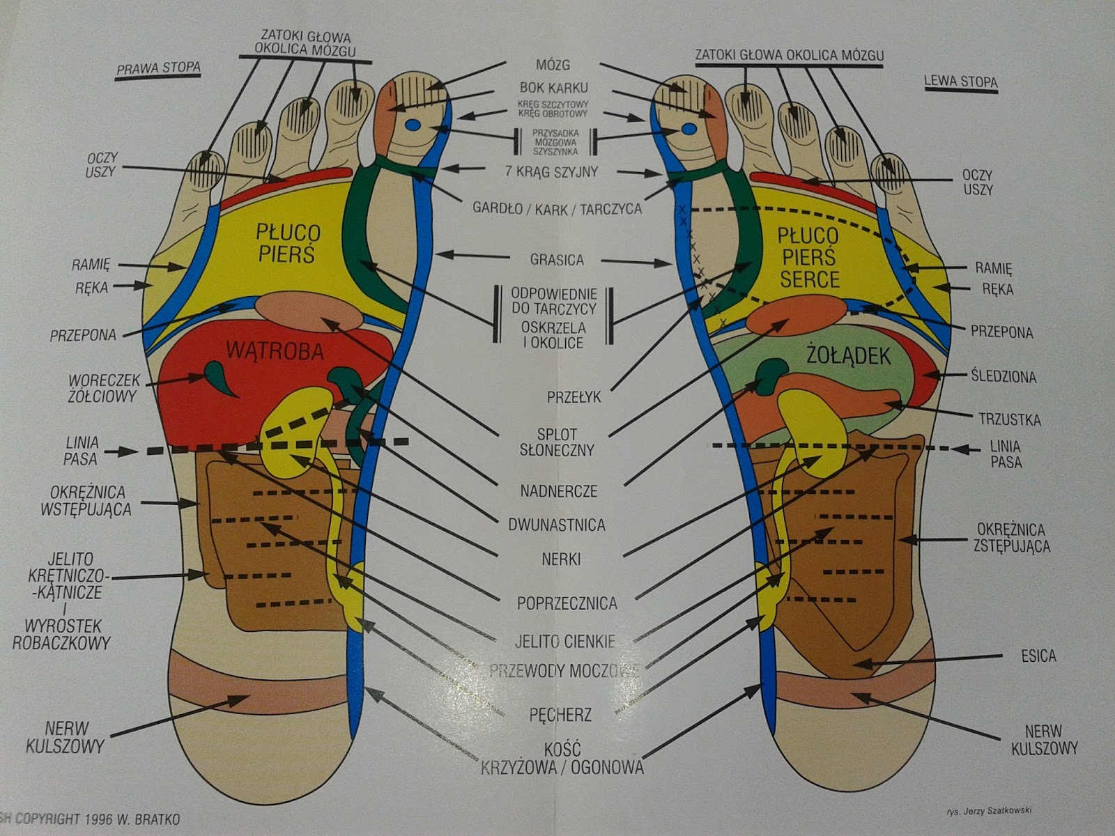 Pin auf MAPA CIAŁA i LINIE