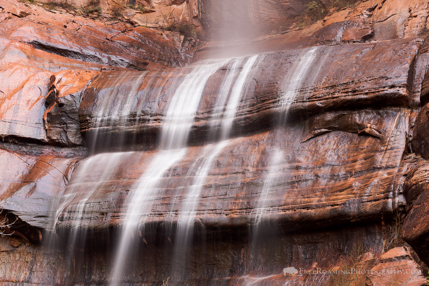 Every Day Is Special: January 4 – Utah Celebrates Statehood