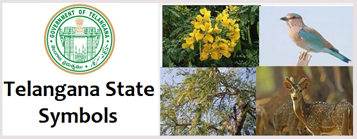 Telangana State Symbols | State's Official Flower, Tree, Bird and ...