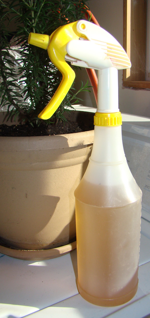 Rurification | Robin Edmundson: Organic Insecticide