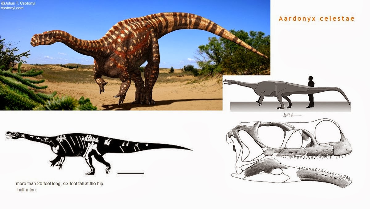 Jurassic Park: Aardonyx- opis.