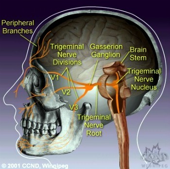 Ramin Mehregan D.M.D.: TMD and the EAR and EYE Connection
