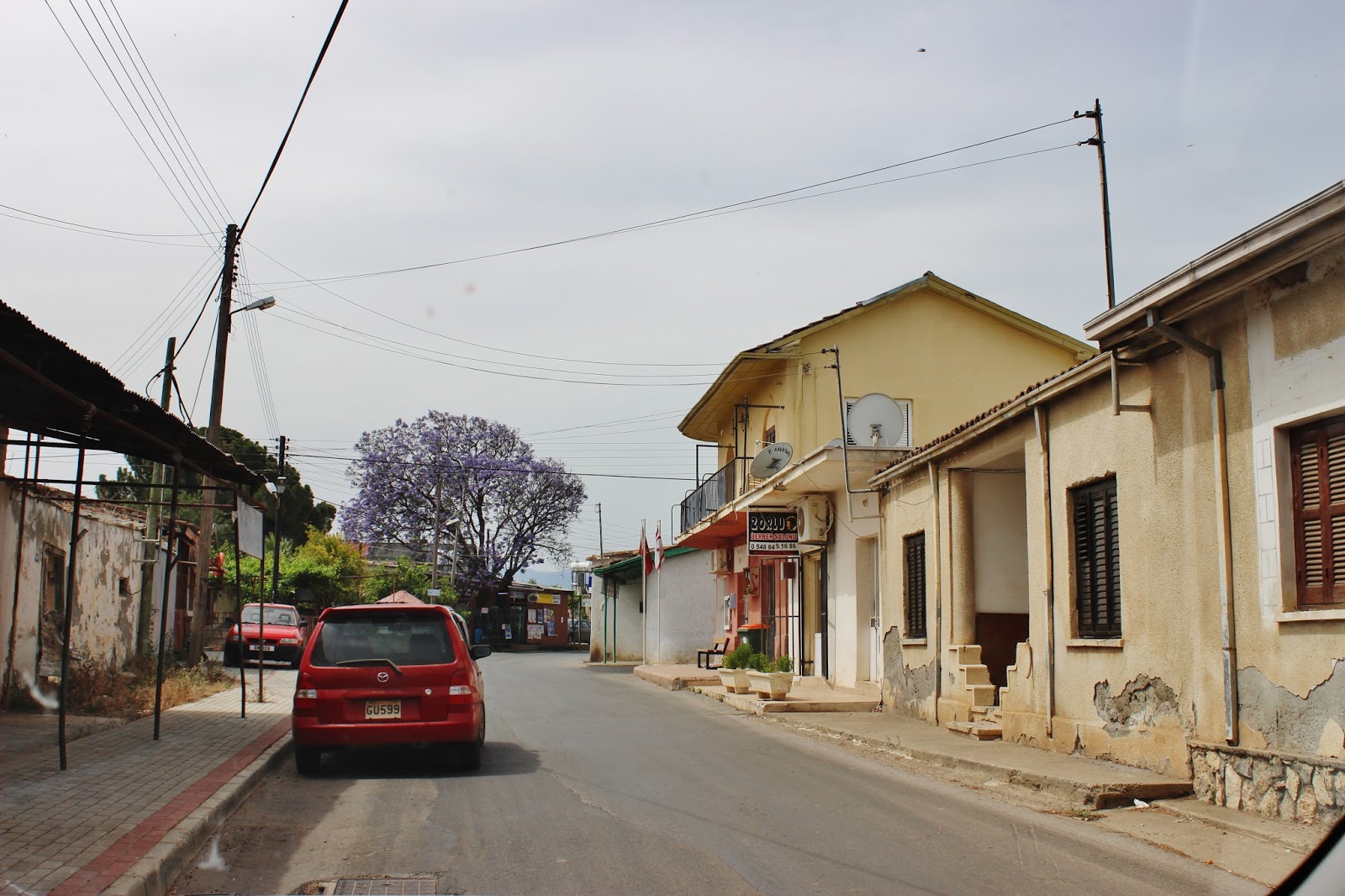 Biodiversity of Cyprus by NGO Protection of the Natural Heritage and ...