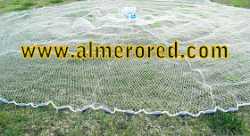 Plomos de Atarrayas - Almerored