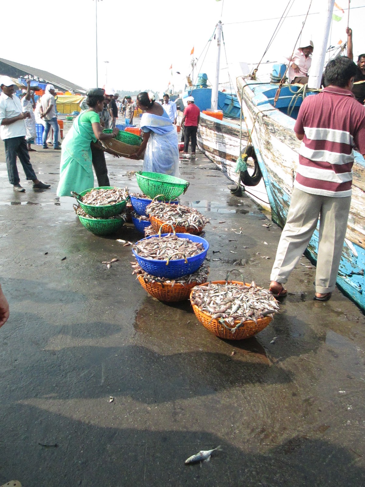 Nikki goes to India: Malpe Fishing Industry