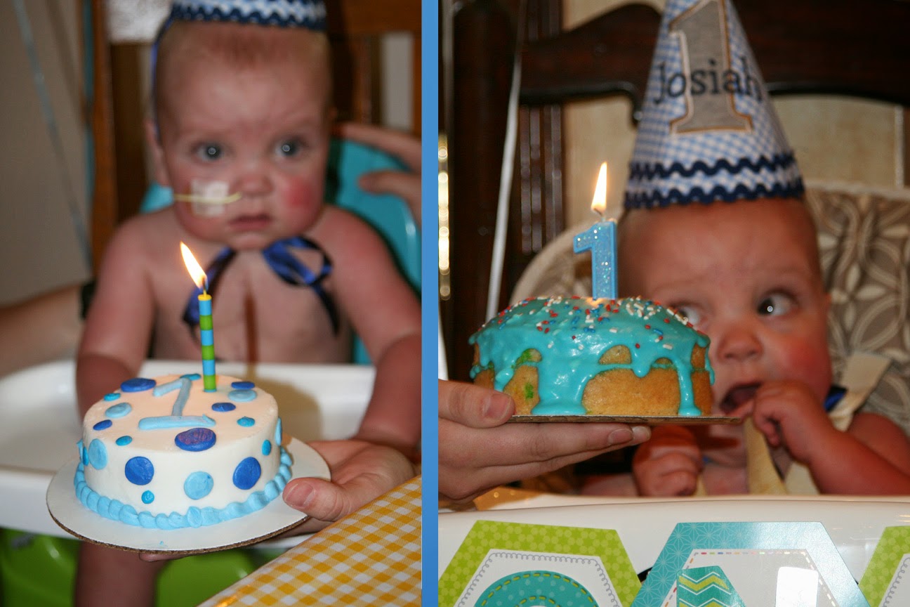 Bailey Beginnings: A Fresh Look at a New Life: Happy Birthday!