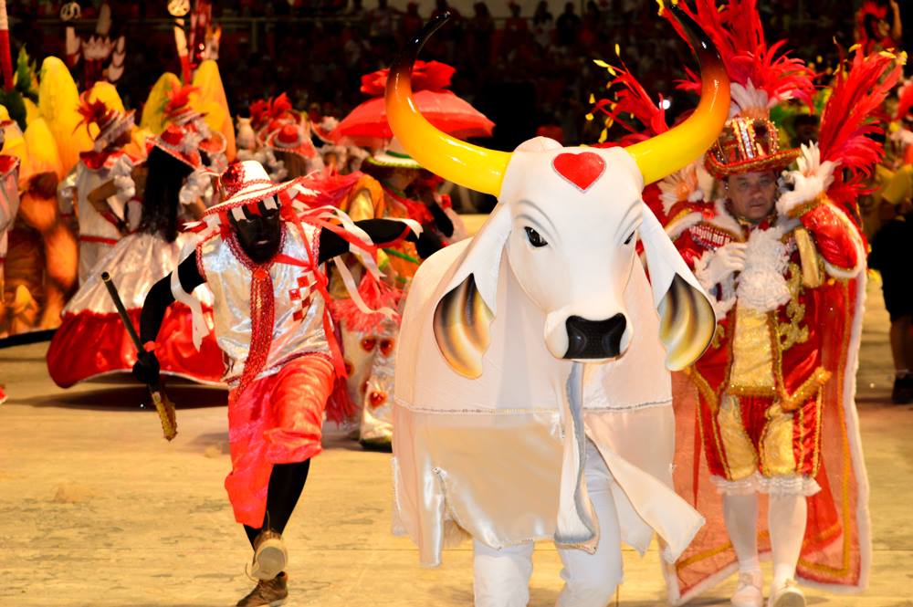 Historia Do Boi Garantido - FDPLEARN