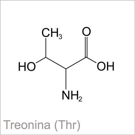 Proteínas e Aminoácidos: Treonina - Aminoácido