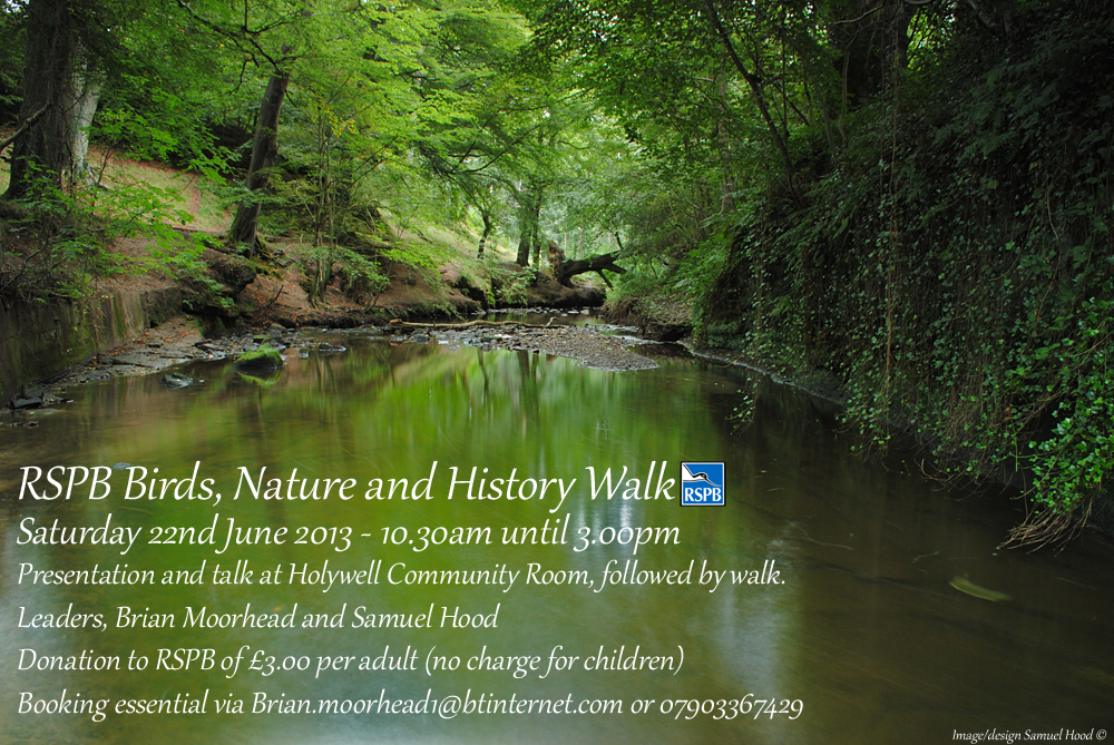 Killy Birder: RSPB Birds, Nature and History Walk and Presentation