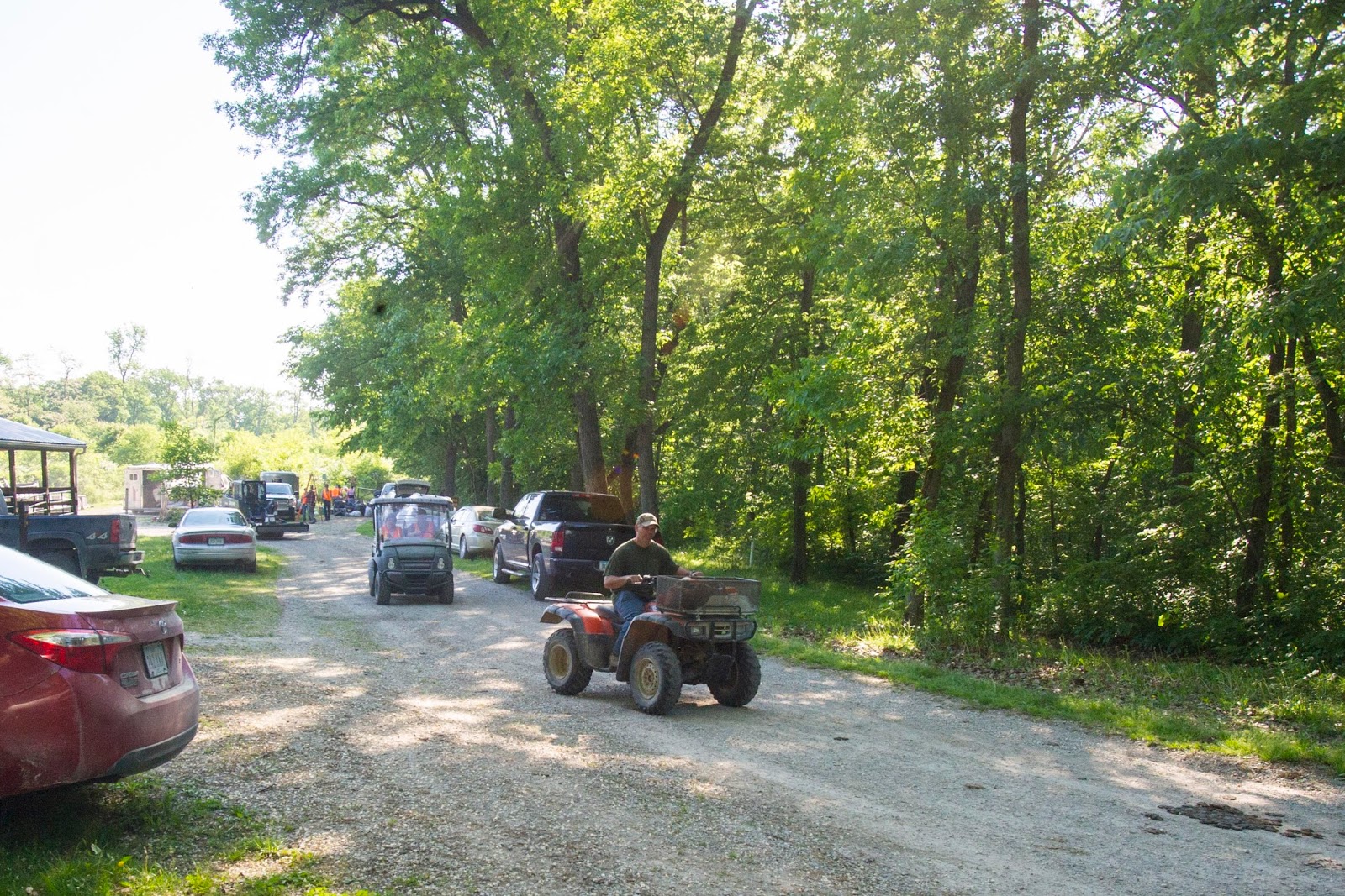 Friends of Shimek State Forest : May 2017