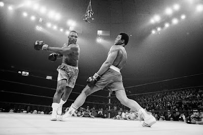 NeuroDojo: Fifteen rounds