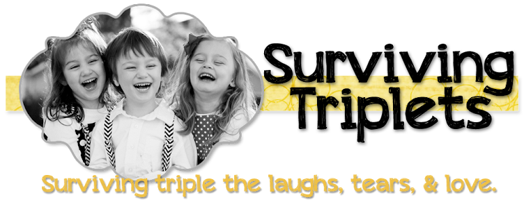 Surviving Triplets: Intro to our Triplet Pregnancy