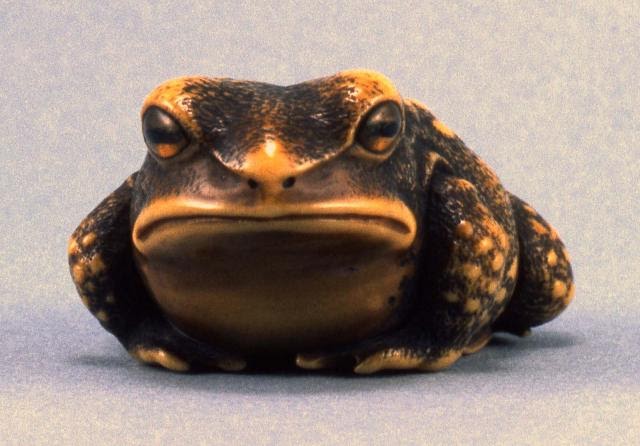 Cook Ding's Kitchen: The Angry Frog