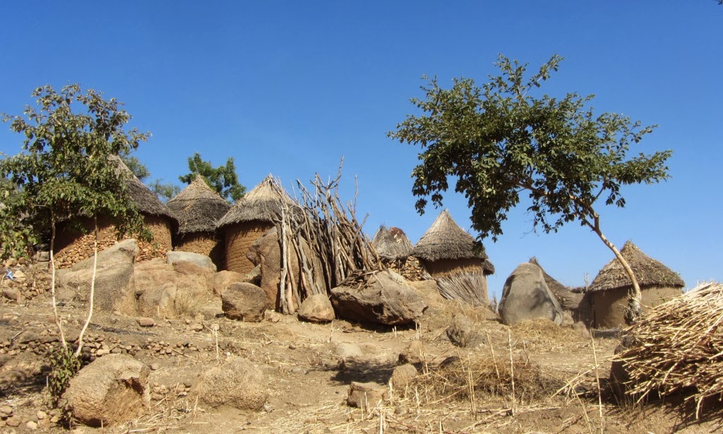 peenak.sojourn: Waza National Park: A little bit of East Africa in Cameroon