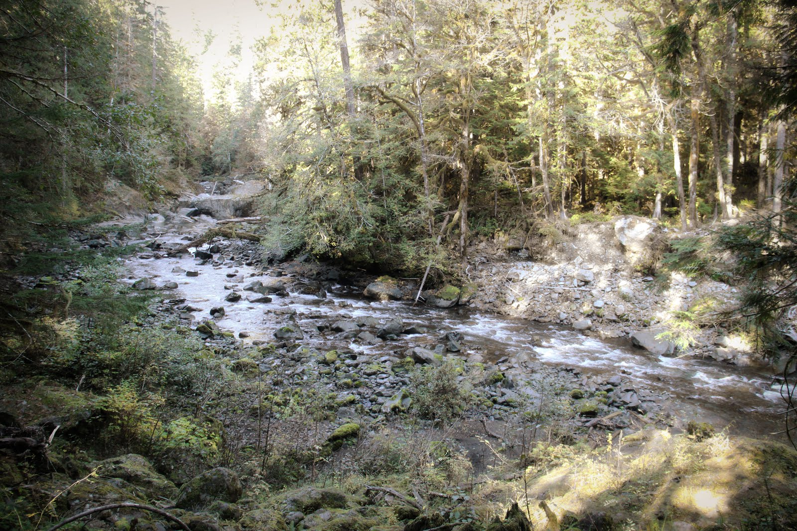 The Lovely Red Fox: Hiking Staircase — Olympic National Park