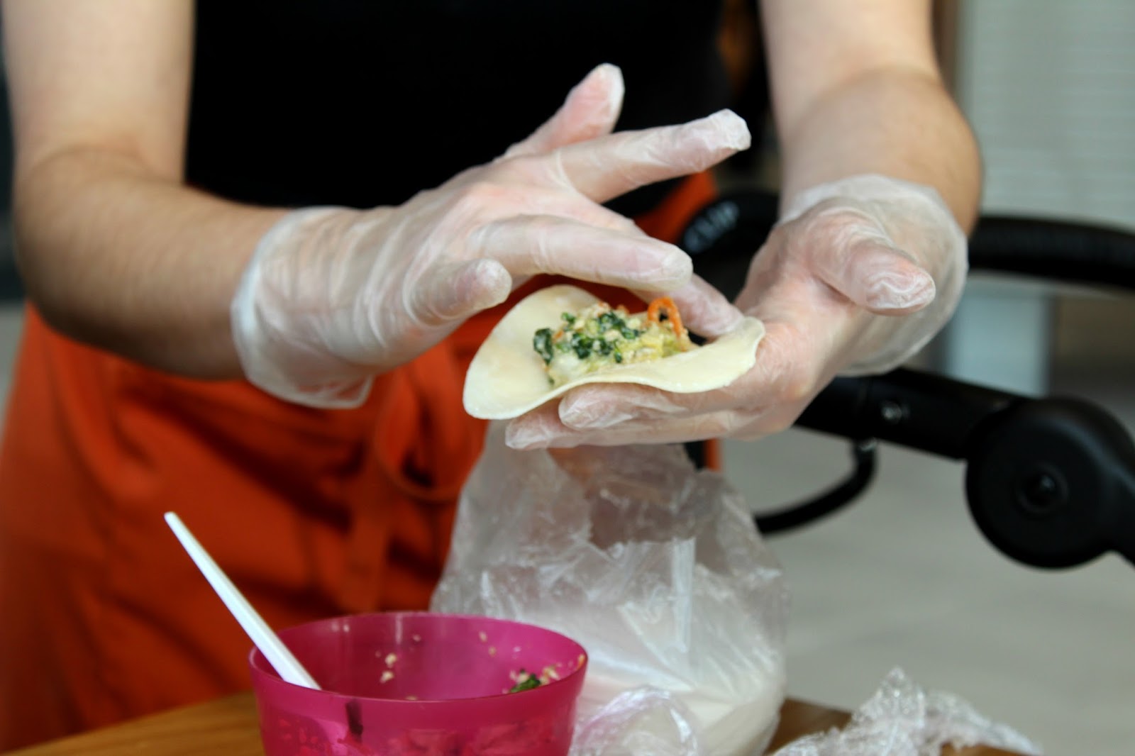 Dumpling Dumpling | Alice Anne