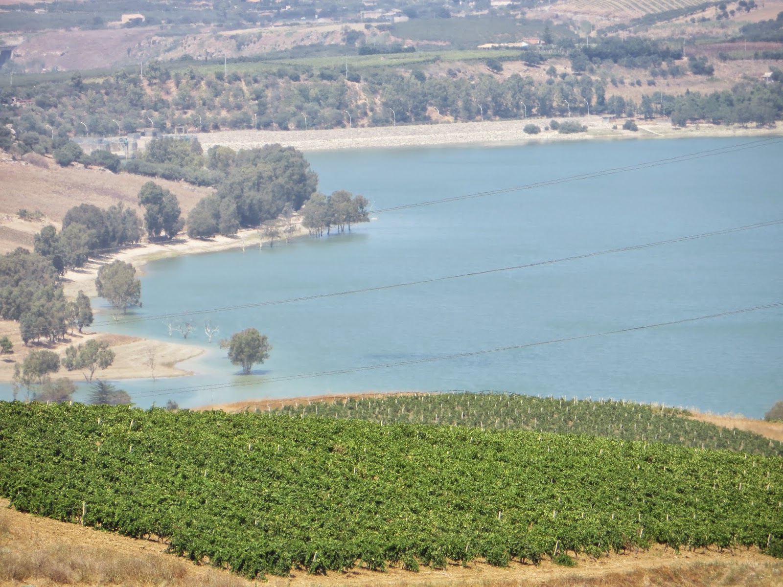 Reportage On Way: Lago Poma, Partinico (Pa)